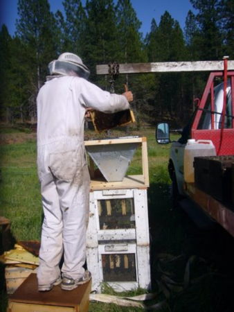 A Test of The Drench Method for Nosema - Scientific Beekeeping