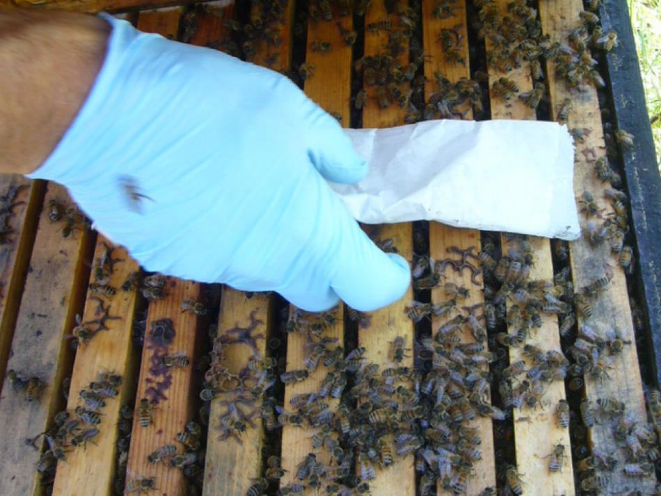 An Early Summer Test of Mite-Away-Quick Strips(tm) - Scientific Beekeeping