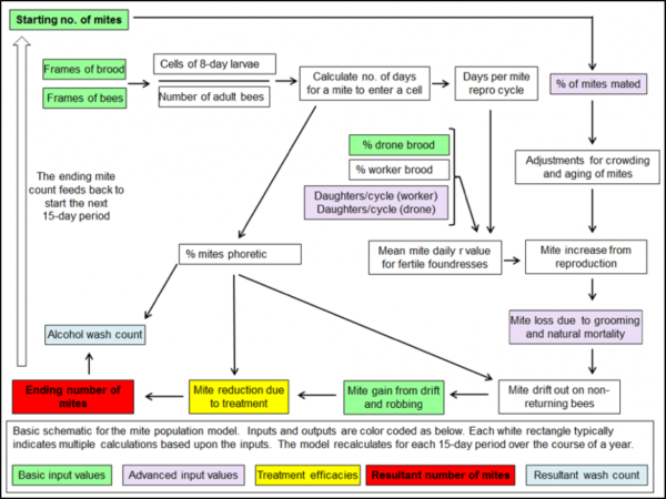 An Online Model for Varroa Management - Scientific Beekeeping