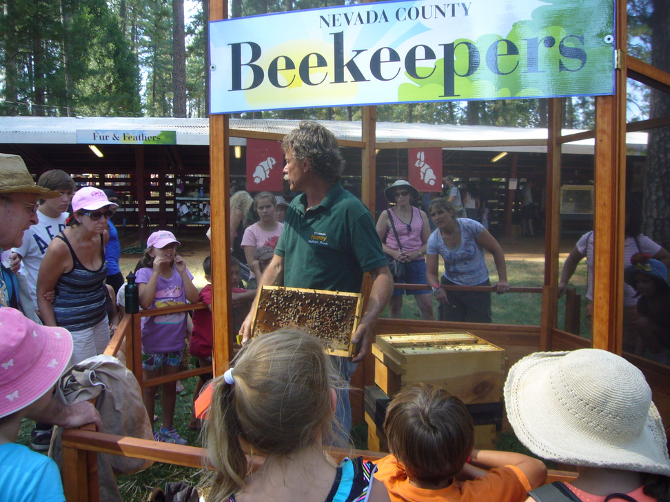 A Survey on Robbing at Collapse - Scientific Beekeeping