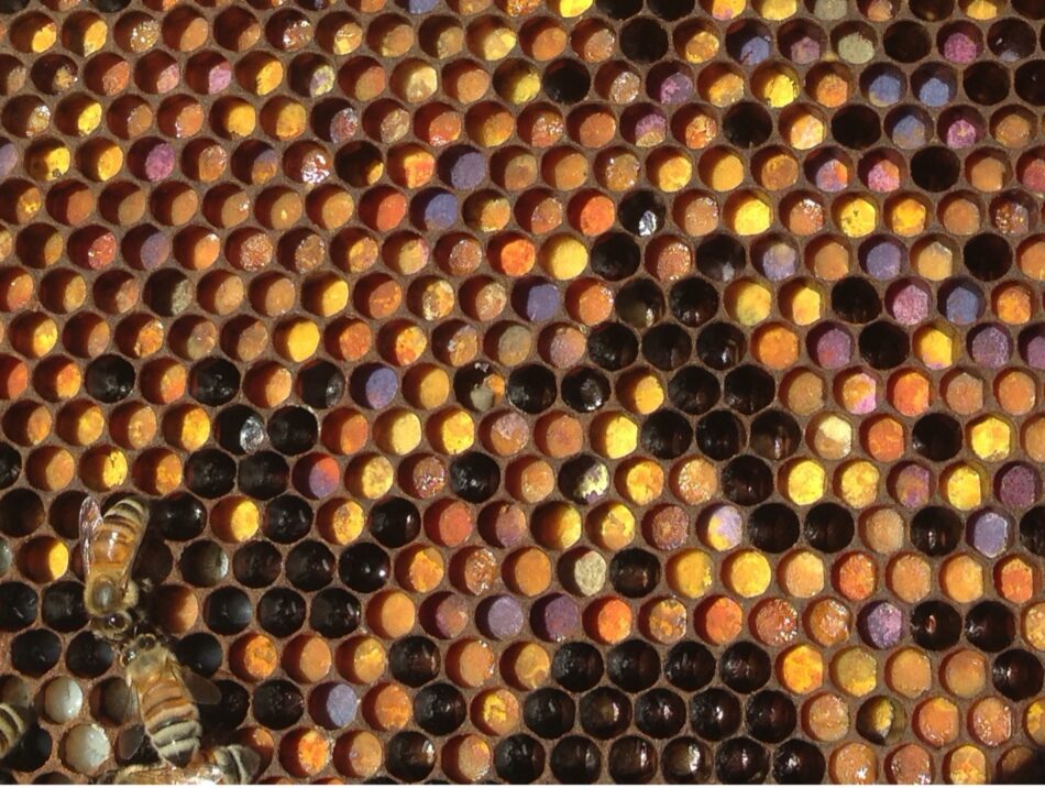 A Comparative Trial of the Pollen Subs: Part 4-Why did some Subs ...