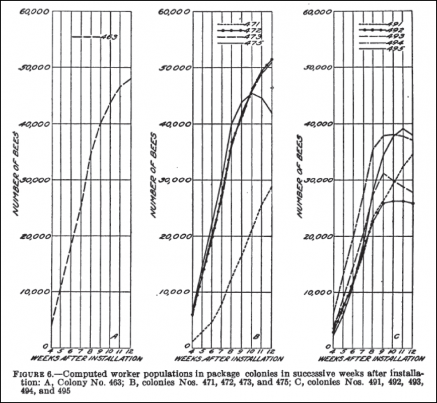 Understanding Colony Buildup and Decline: Part 4 - The Linear Growth ...