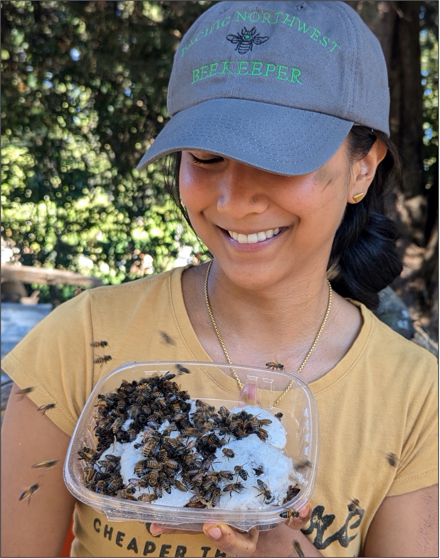 Robbing Screens: Part 6- De-Anthropomorphizing Robbing - Scientific Beekeeping