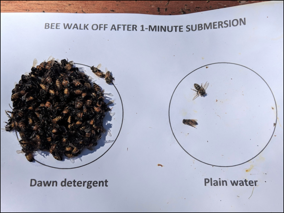 Refining the Mite Wash: Part 4 - Comparing the Release Agents ...