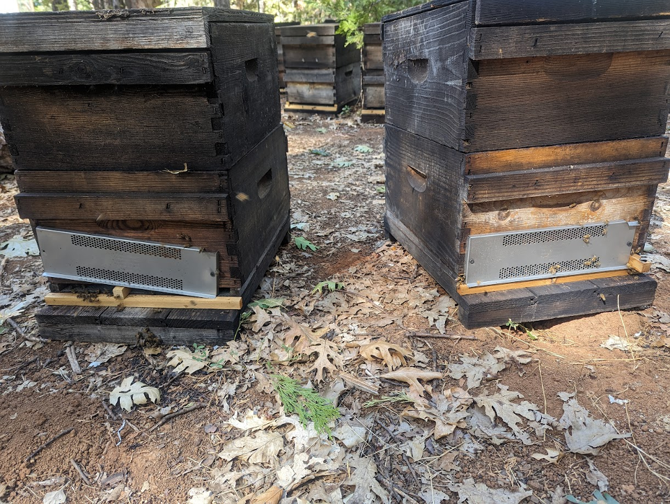 Can Robber Screens Reduce Mite Immigration? Part 4 - Scientific Beekeeping