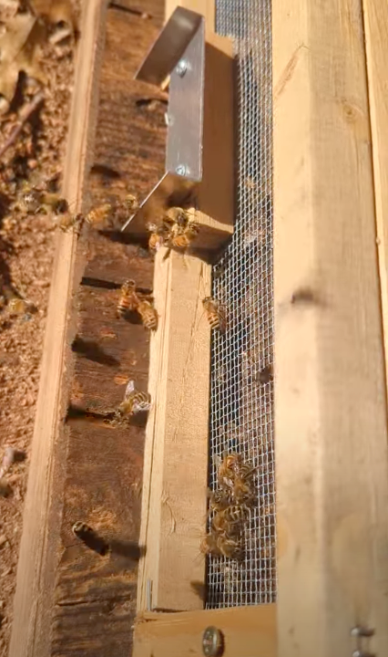 Robbing Screens Part 9: Designing a Robbing Screen that Works in ...