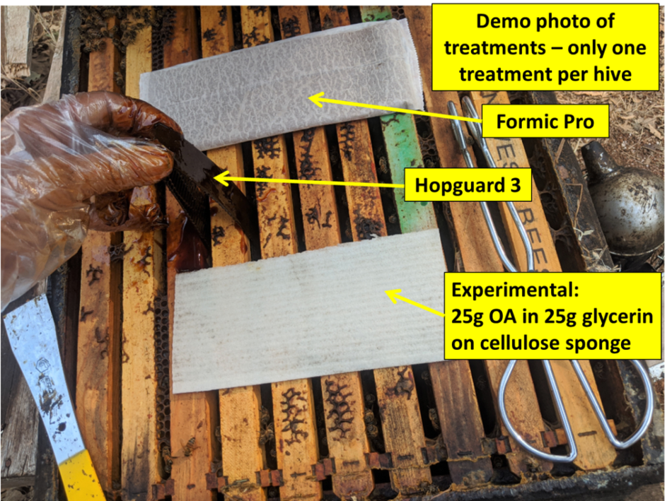 Mite Control While Honey is on the Hive - Scientific Beekeeping