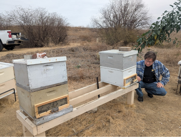 Robbing Screens Part 9: Designing a Robbing Screen that Works in ...