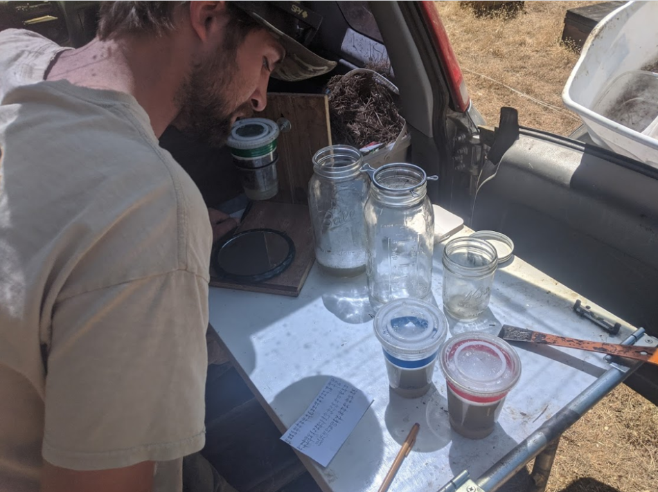 Refining the Mite Wash: Part 4 - Comparing the Release Agents ...