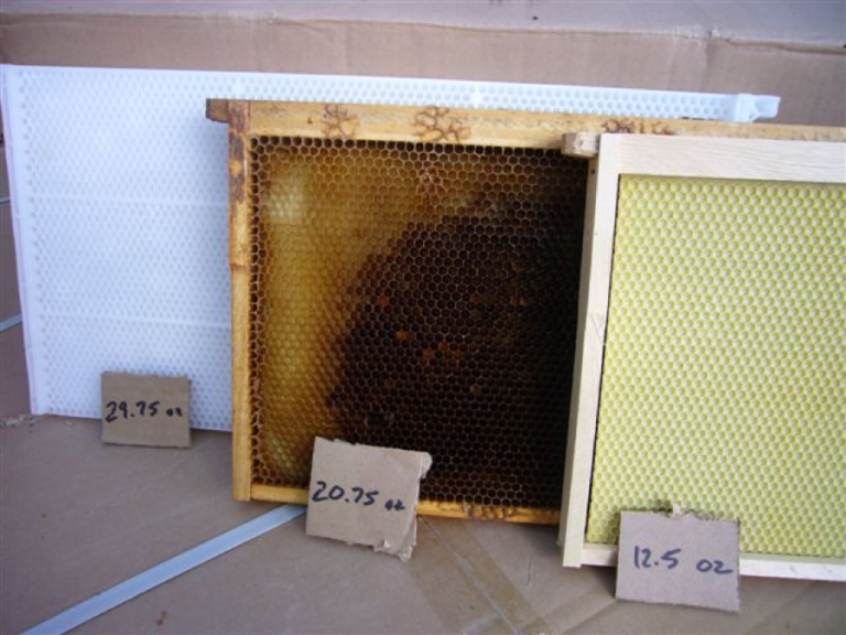 Trial of HoneySuperCell® Small Cell Combs - Scientific Beekeeping
