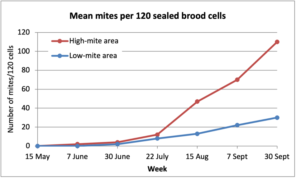 A Study on Bee Drift and Mite Immigration: Part 1 - Scientific Beekeeping