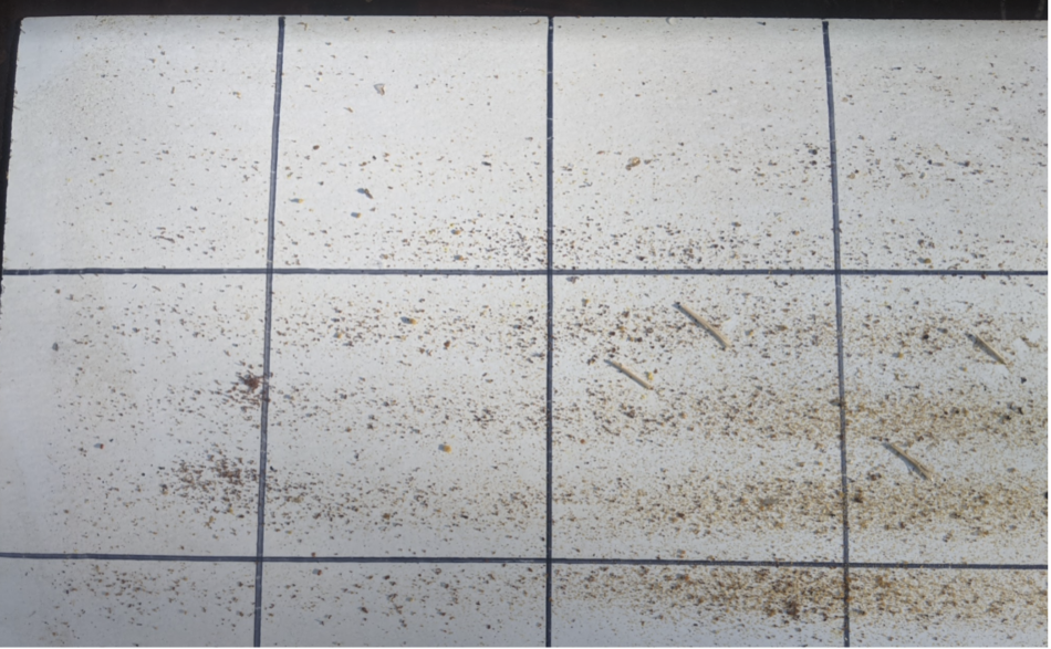 A Study on Bee Drift and Mite Immigration: Part 6 - Scientific Beekeeping