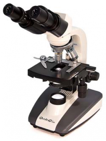 The "Nosema Twins" - Part 2 Detection & Microscopy - Scientific Beekeeping