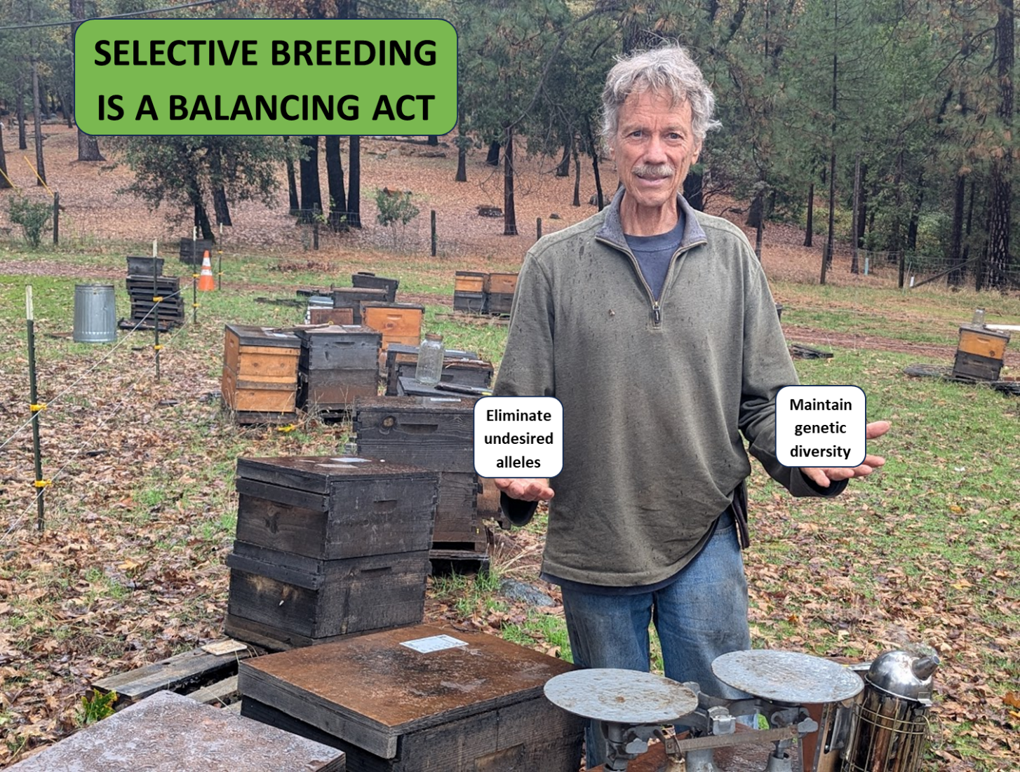 Selective Breeding for Mite Resistance: Part 5-It's Your Turn ...