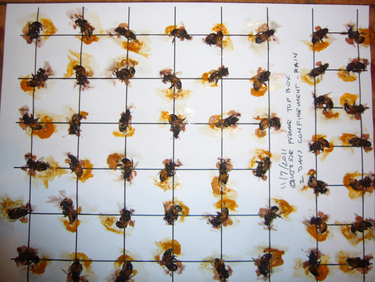 Understanding Colony Buildup and Decline: Part 13b - The Winter ...