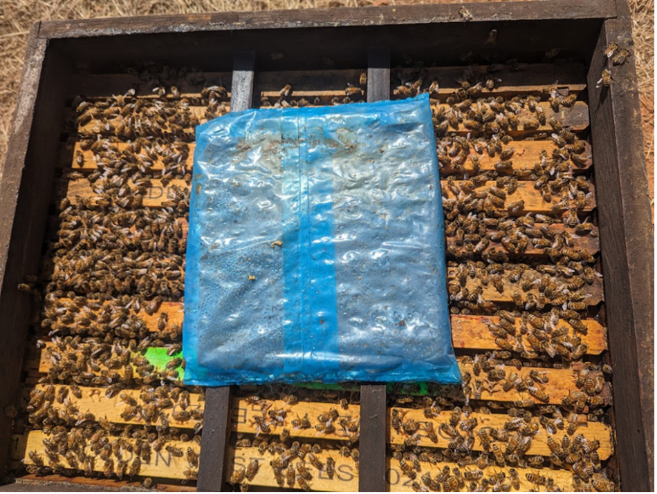 Experimenting with Formic Acid - Scientific Beekeeping