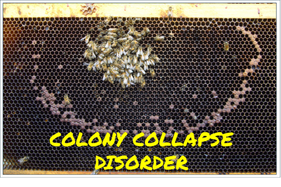 Is Our Party Winding Down - Scientific Beekeeping