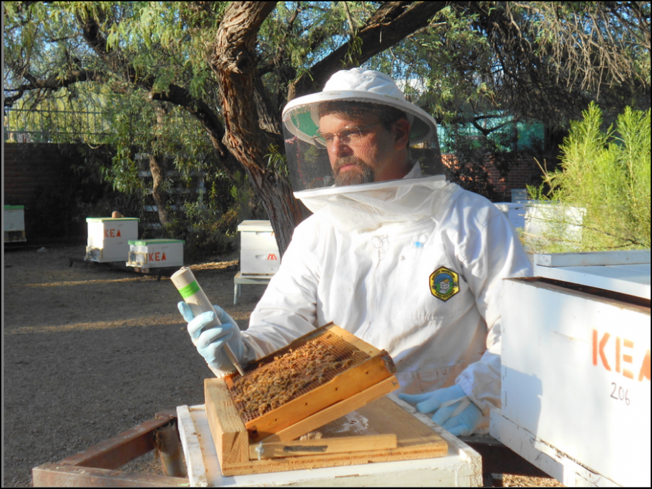 Reevaluating Beebread: Part 1- The "Story" - Scientific Beekeeping