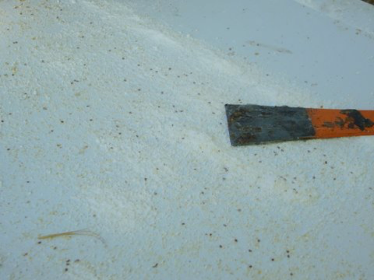 Powdered Sugar Dusting - Sweet and Safe, but Does it Really Work? Part ...