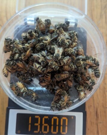 Drones and Varroa: Part 2 - Scientific Beekeeping