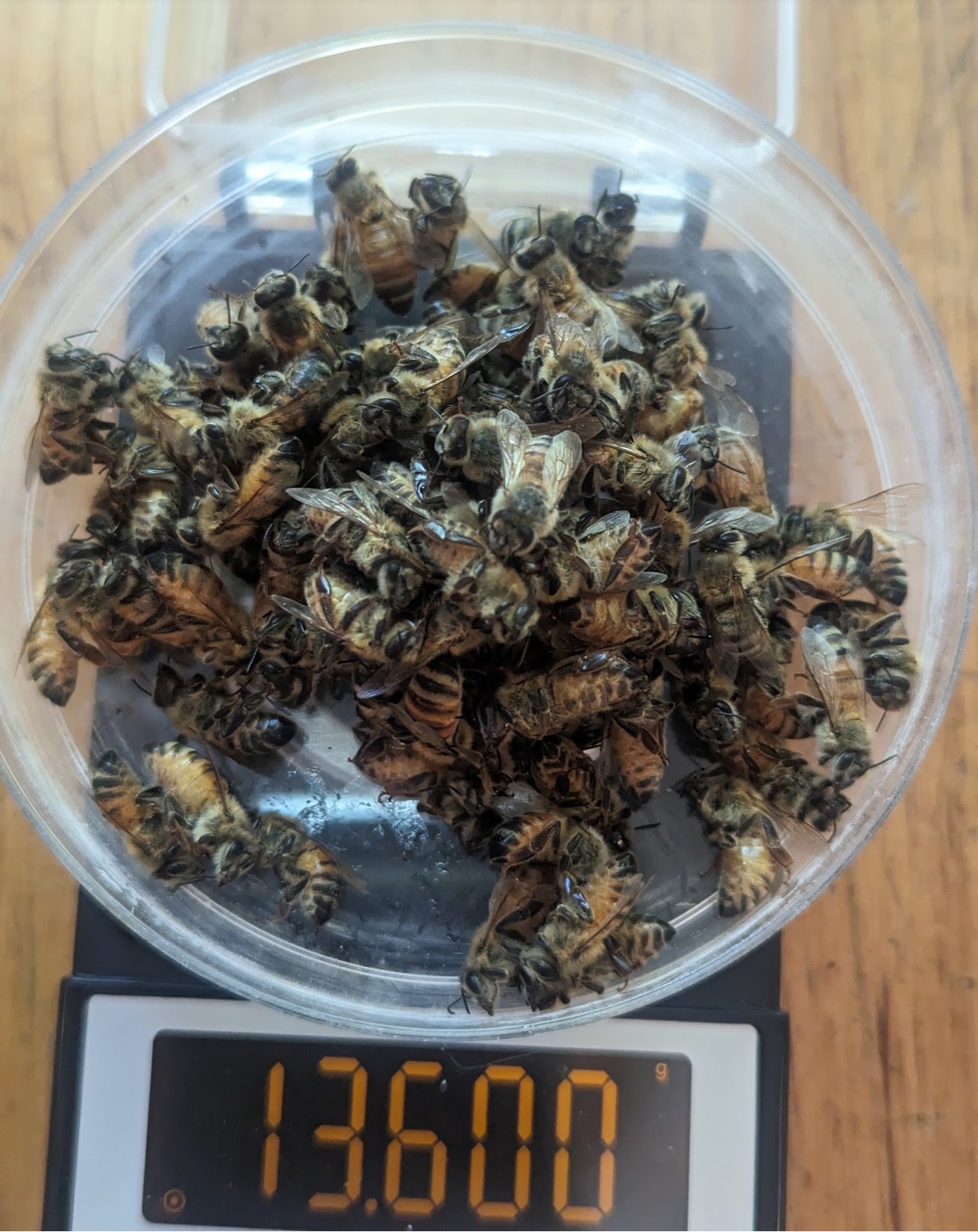 Drones and Varroa: Part 2 - Scientific Beekeeping