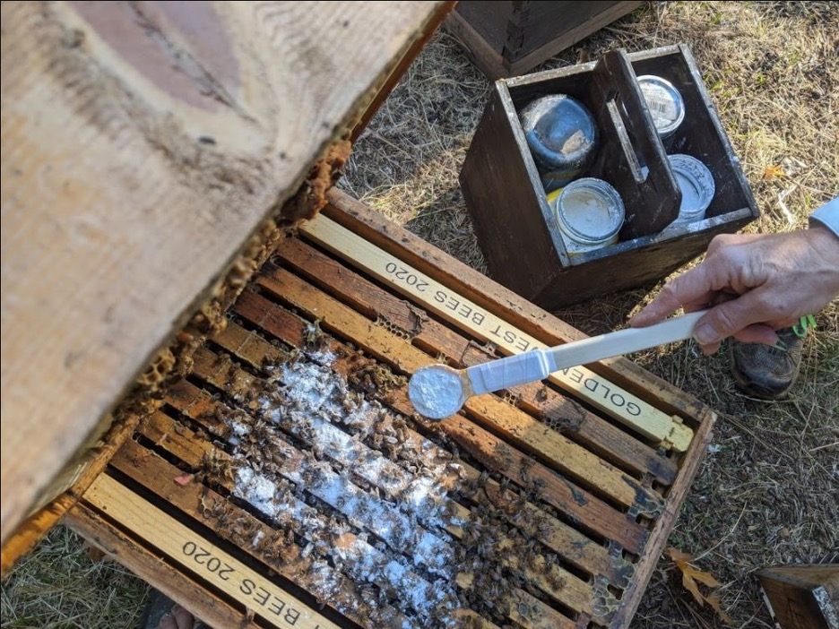 A Field Trial of Probiotics: Part 2 - Scientific Beekeeping