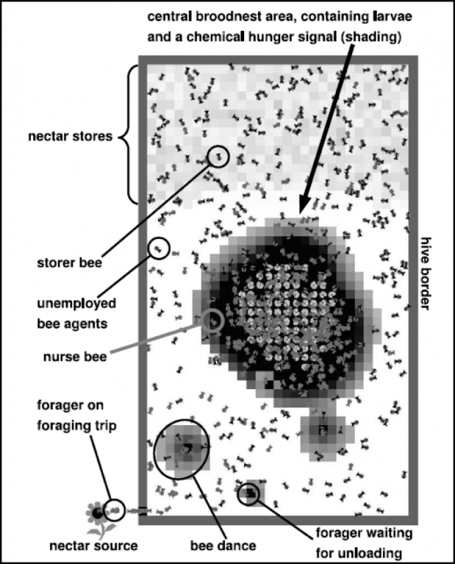 The Primer Pheromones, Part 4 - Reproduction and Survival - Scientific ...