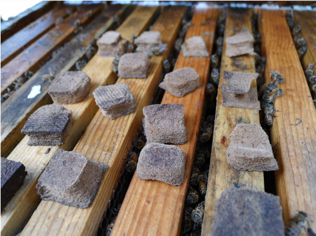 Thymol — a New Application Method? Part 1 - Scientific Beekeeping