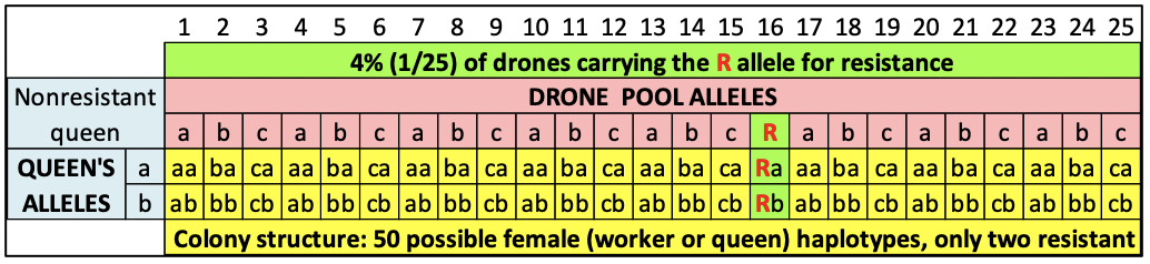 Selective Breeding for Mite Resistance, Part 3; Shifting the Genetics ...