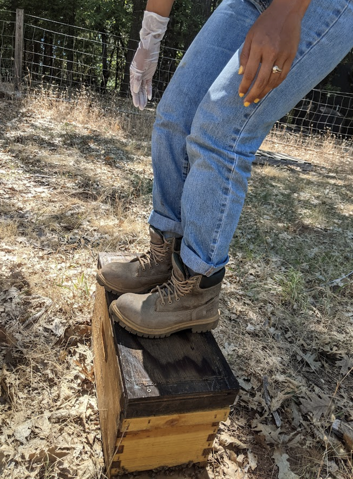 Formic Pro and Queens in Hot Weather - Scientific Beekeeping