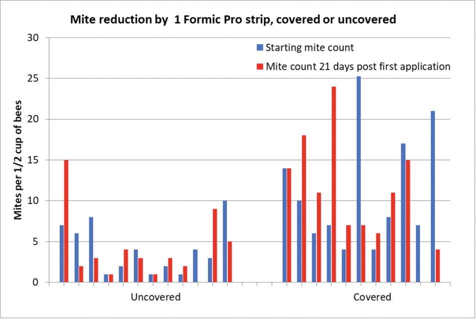Formic Pro and Queens in Hot Weather - Scientific Beekeeping