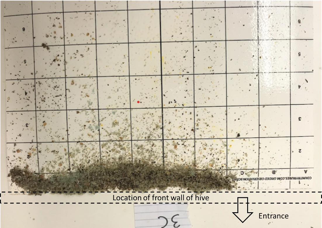 Thymol — a New Application Method? Part 1 - Scientific Beekeeping