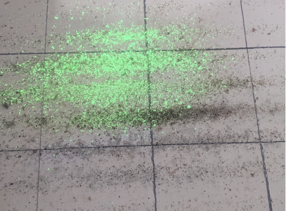 Thymol — a New Application Method? Part 1 - Scientific Beekeeping