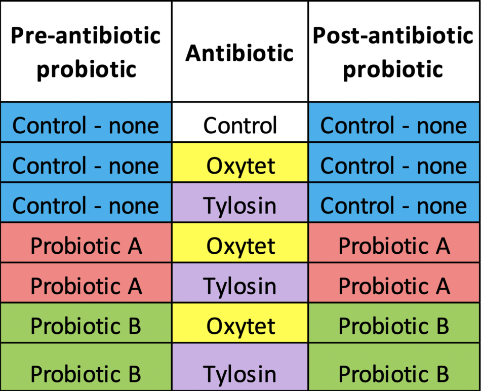 A Field Trial of Probiotics: Part 2 - Scientific Beekeeping