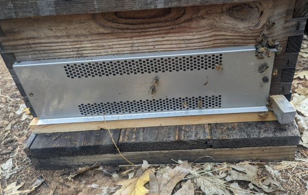 Can Robbing Screens Reduce Mite Immigration?: Part 1 - Scientific ...