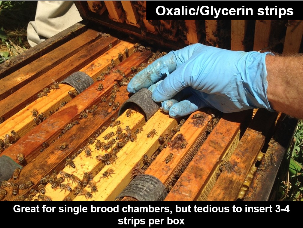 Instructions for extended-release oxalic acid (updated 7/22/25 ...