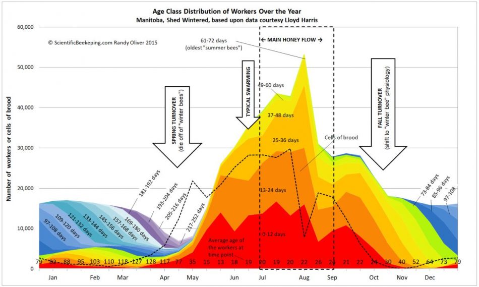 Scientific Beekeeping - Beekeeping Through The Eyes of a Biologist