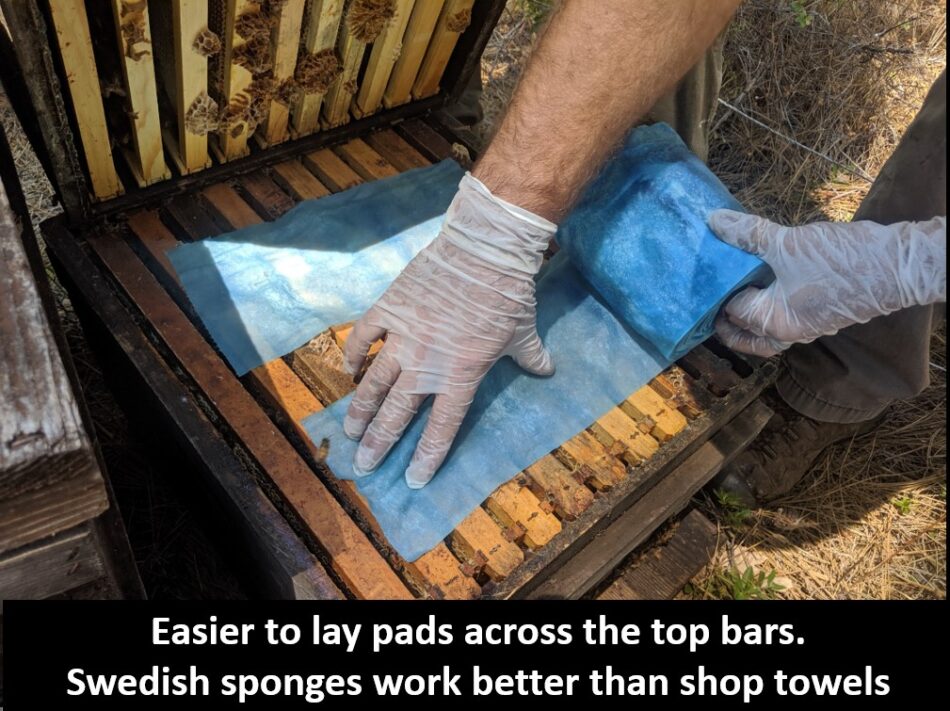 Instructions for extended-release oxalic acid (updated 7/22/25 ...