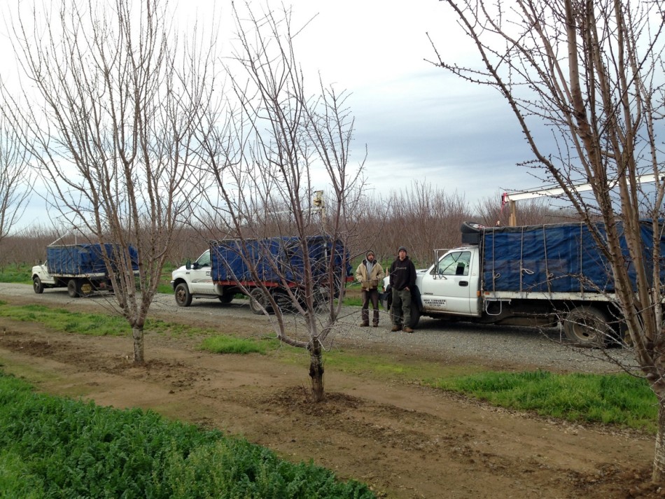 Scientific Beekeeping - Beekeeping Through The Eyes of a Biologist