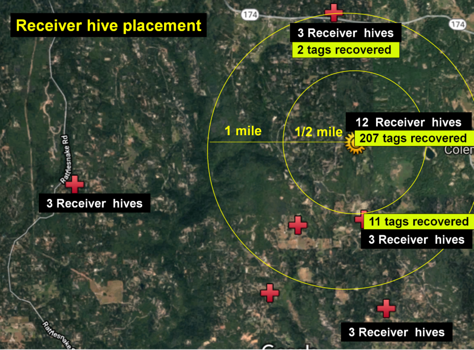 A Study on Bee Drift and Mite Immigration: Part 4 - Scientific Beekeeping
