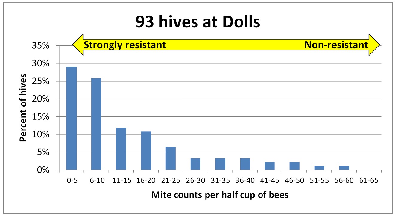 Selective Breeding Progress Report 2023 - Scientific Beekeeping