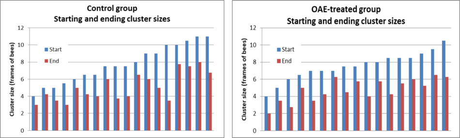 2022 Extended-release Oxalic (OAE) Update Part 2 - Scientific Beekeeping
