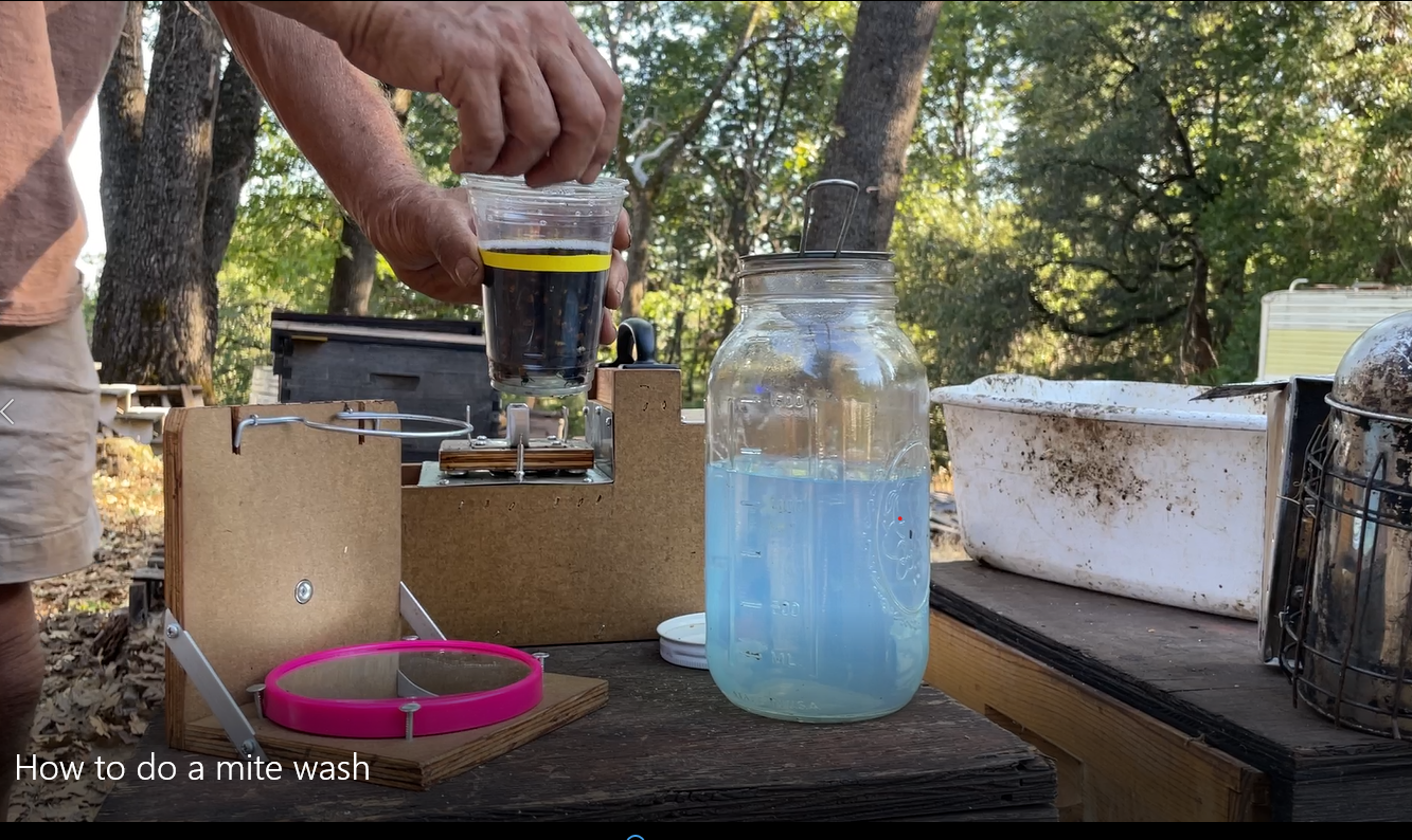 Smokin' Hot Mite Washin'- 2025 Update - Scientific Beekeeping